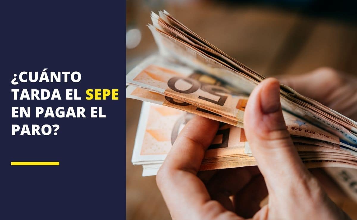 ¿Cuánto tiempo tarda el SEPE en pagar el paro? ¿Cuánto tiempo tarda el SEPE en pagar el paro?